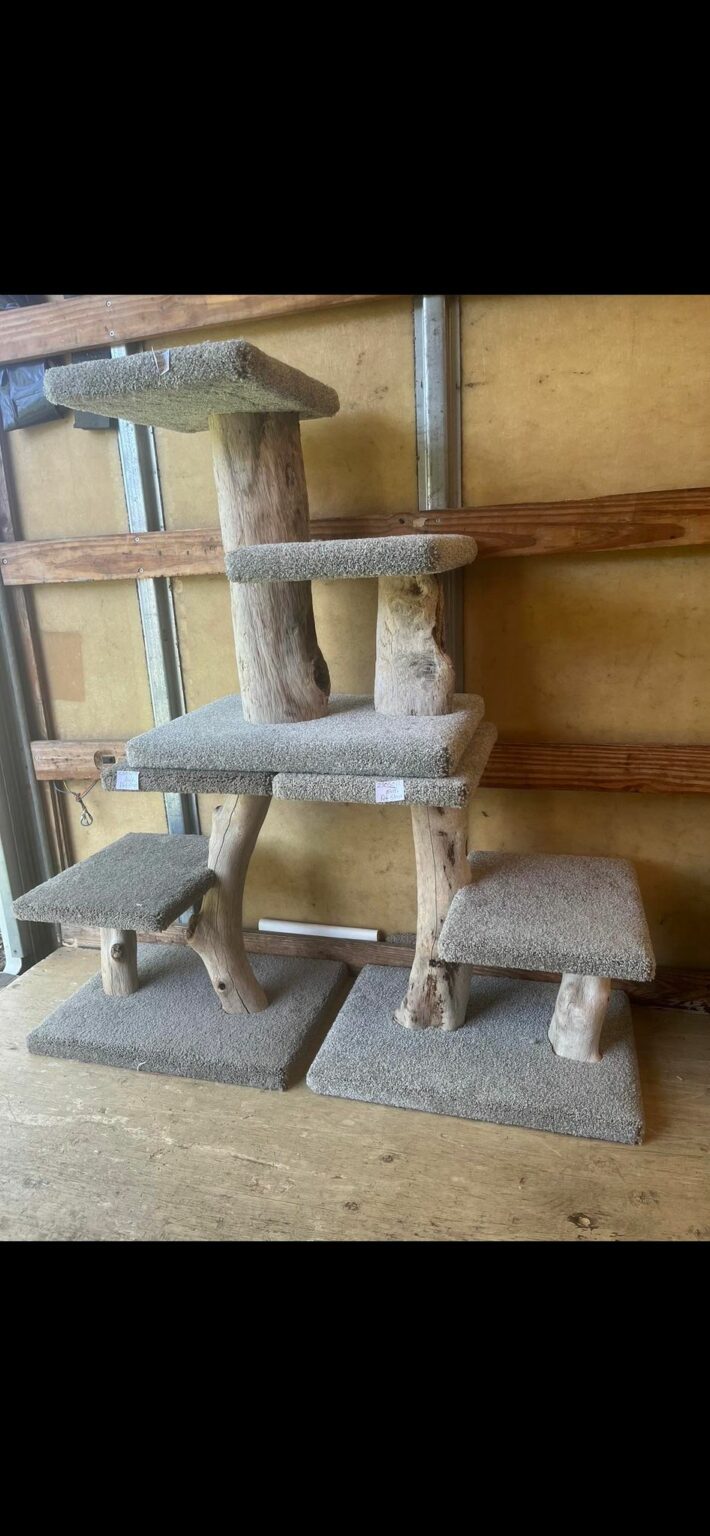 Gallery - Phoenix Feline Furniture
