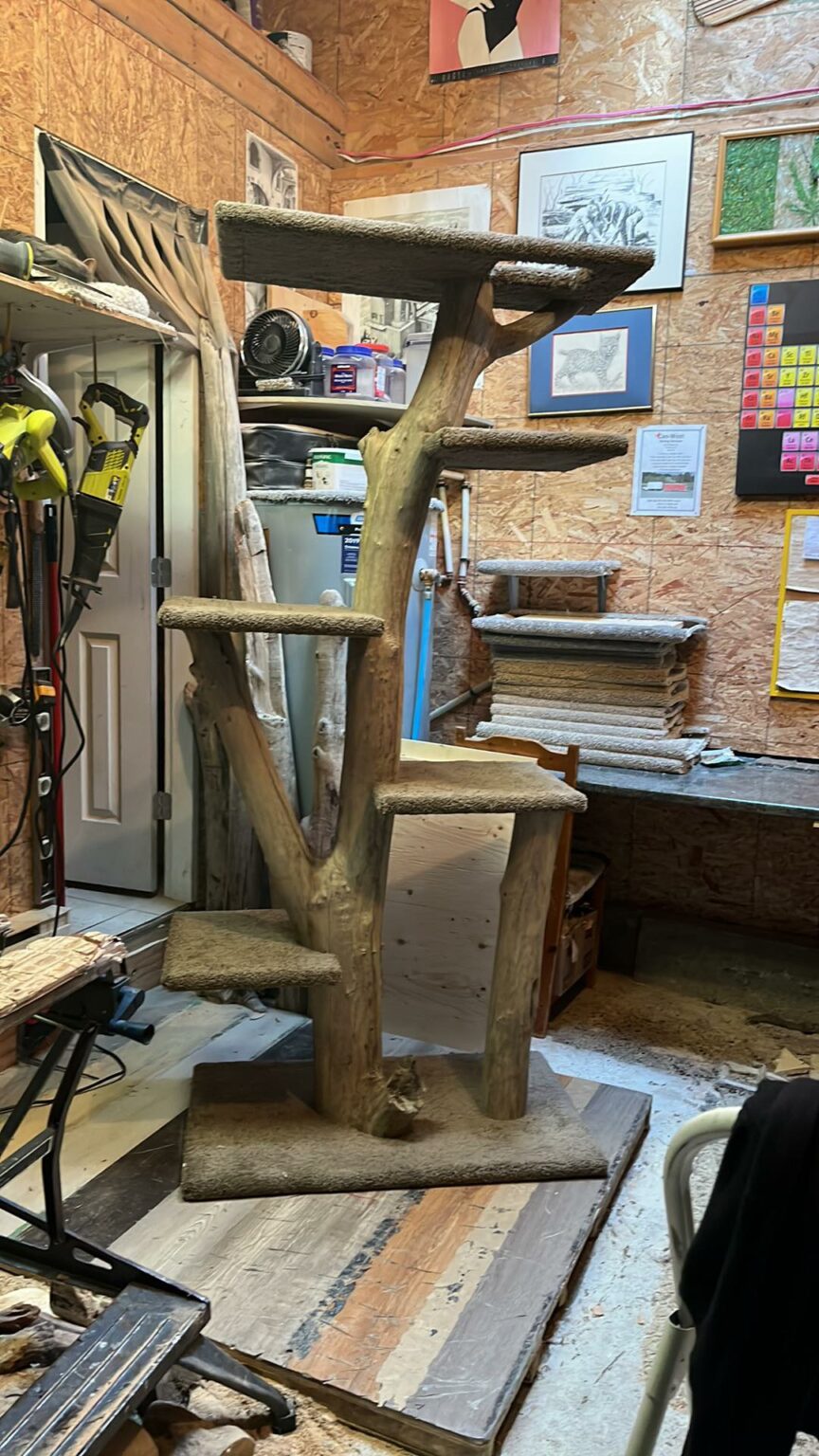Gallery - Phoenix Feline Furniture