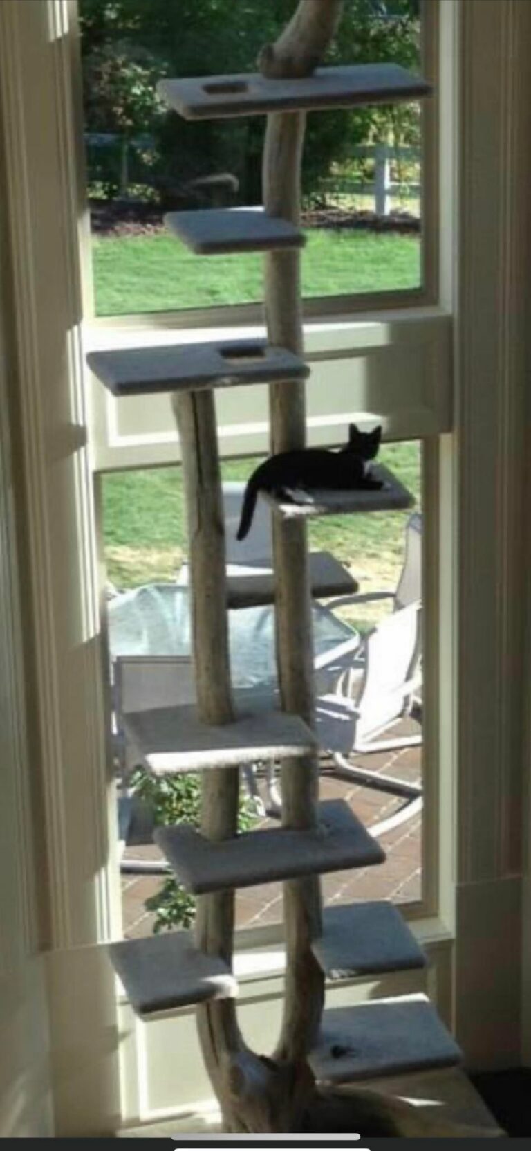 Gallery - Phoenix Feline Furniture