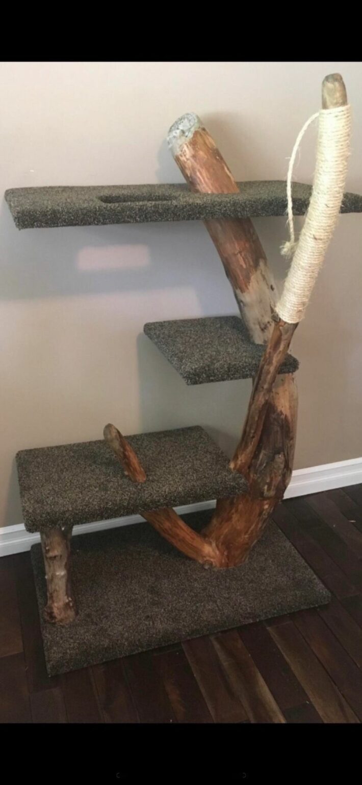 Gallery - Phoenix Feline Furniture