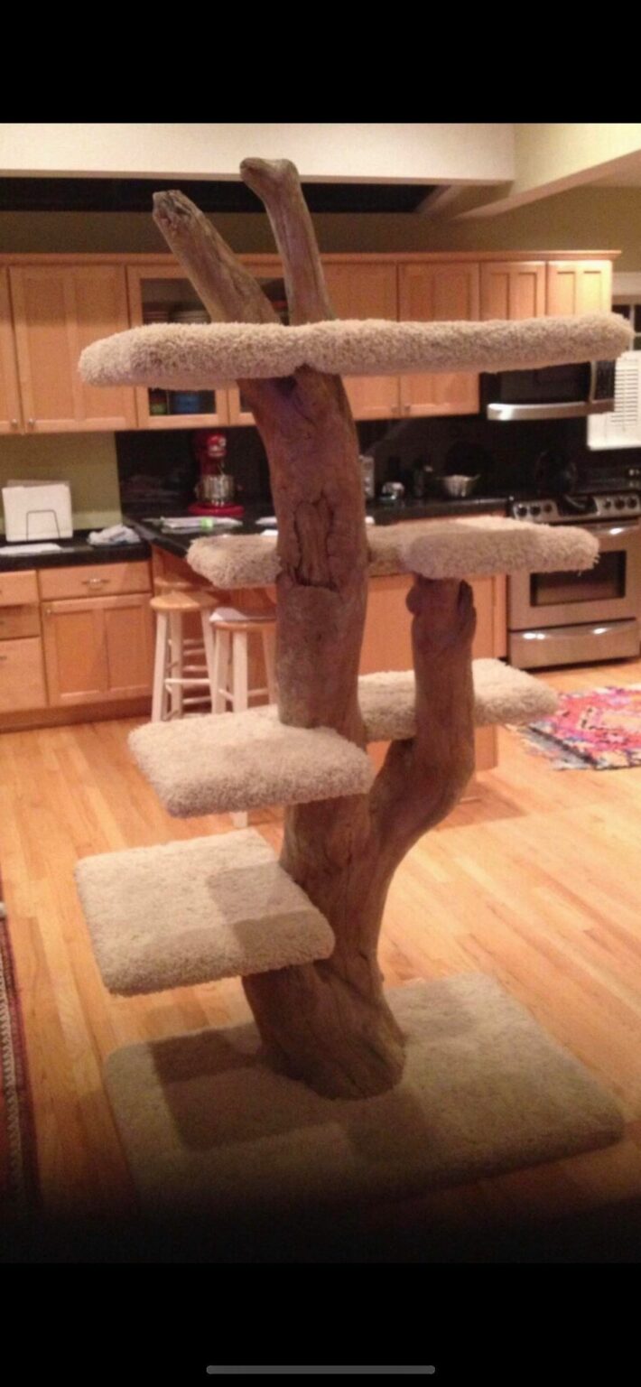 Gallery - Phoenix Feline Furniture