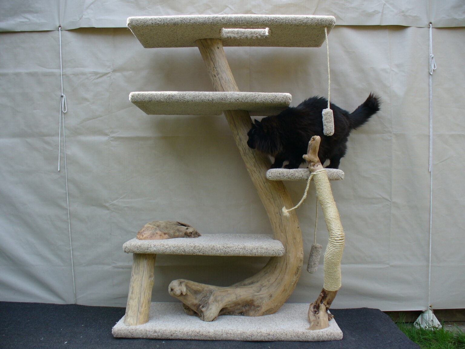 Gallery - Phoenix Feline Furniture